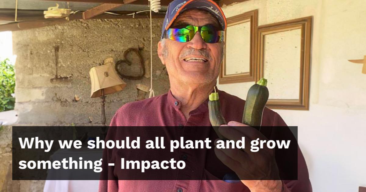 Why we should all plant and grow something - Impacto