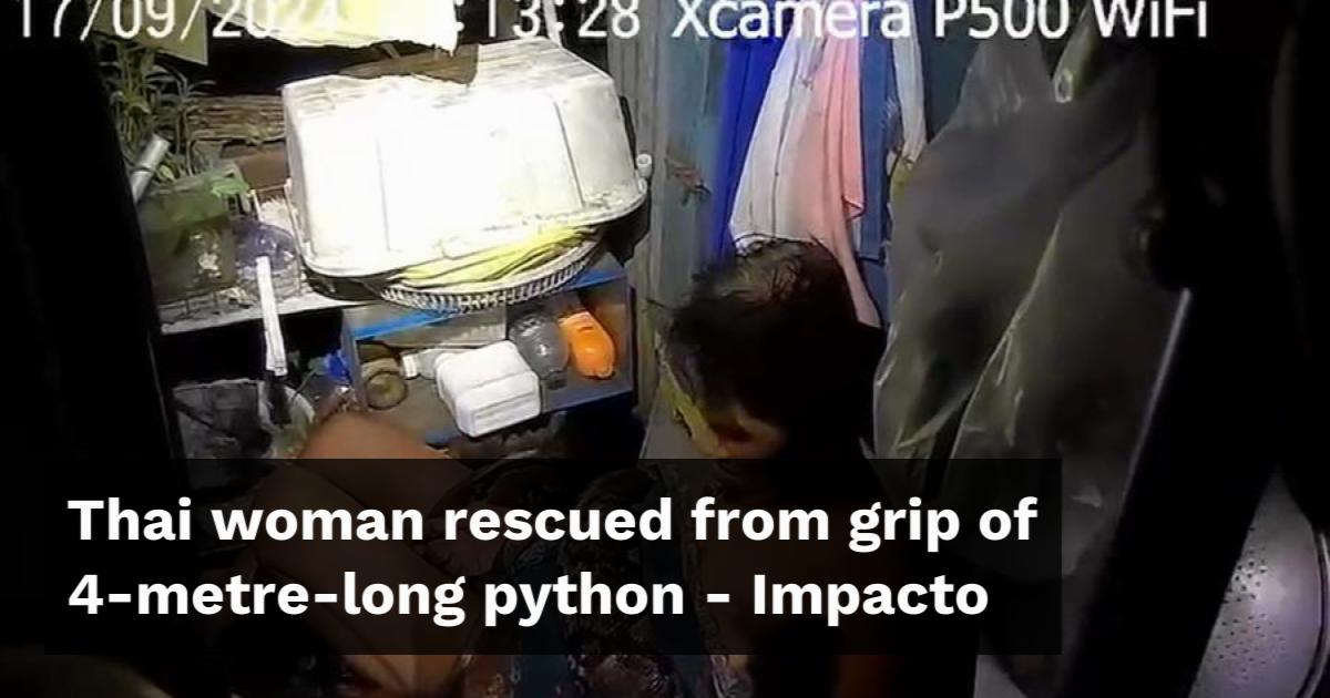 Thai woman rescued from grip of 4-metre-long python