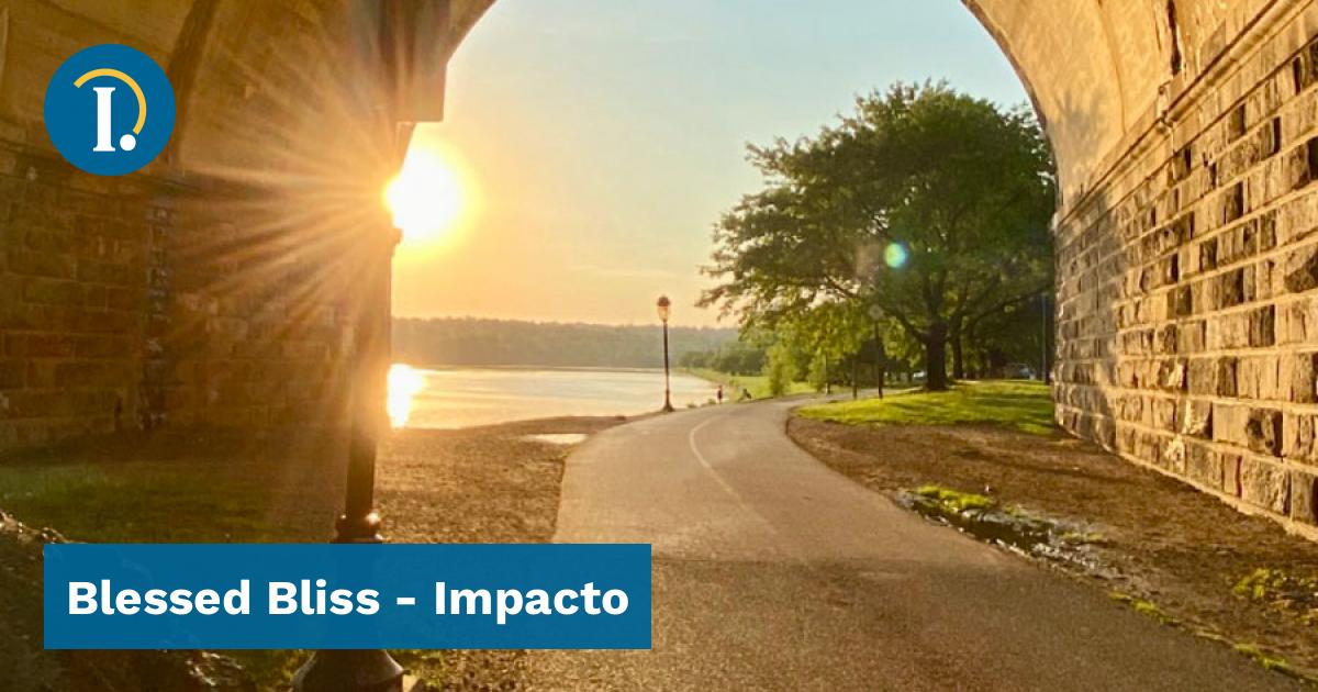 Blessed Bliss - Impacto