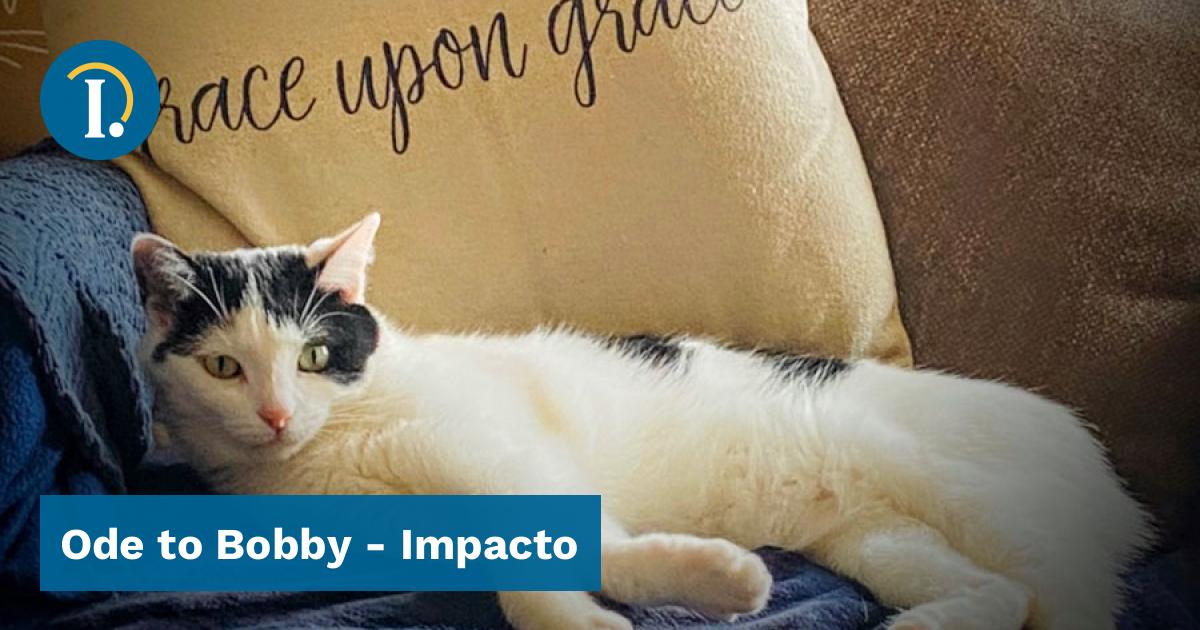 Ode to Bobby - Impacto