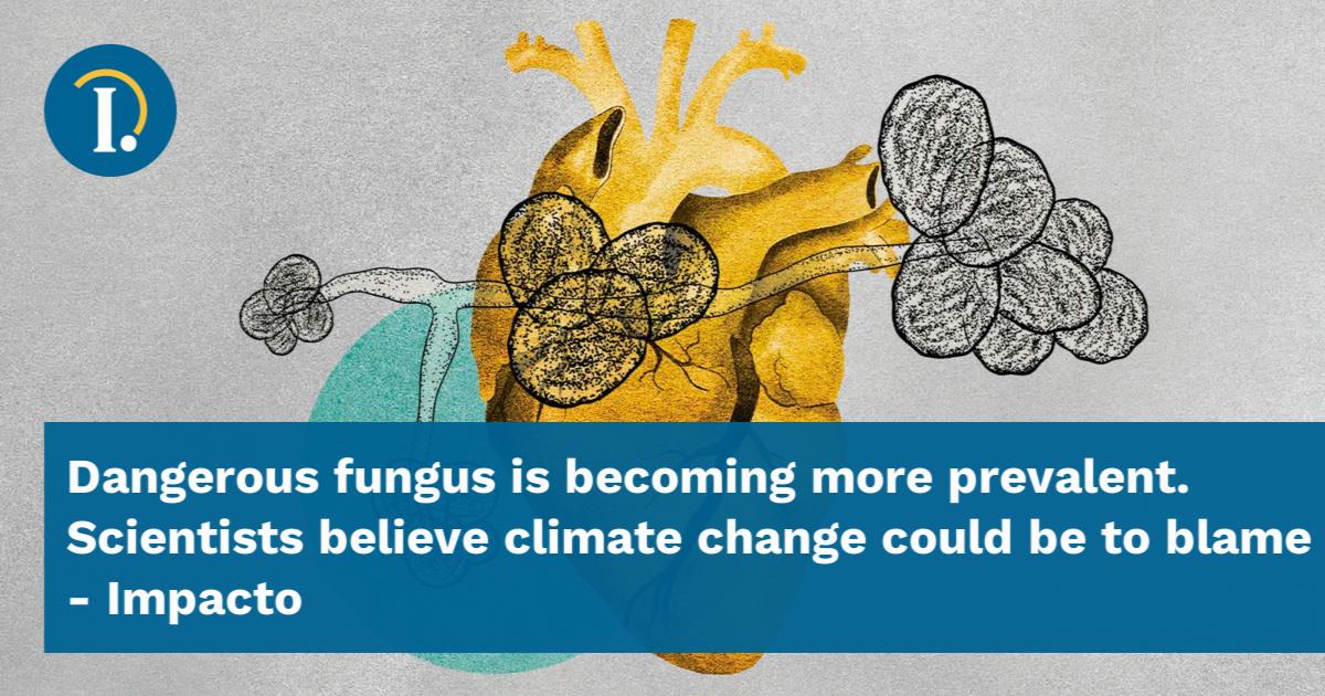 Dangerous fungus is becoming more prevalent. Scientists believe climate ...