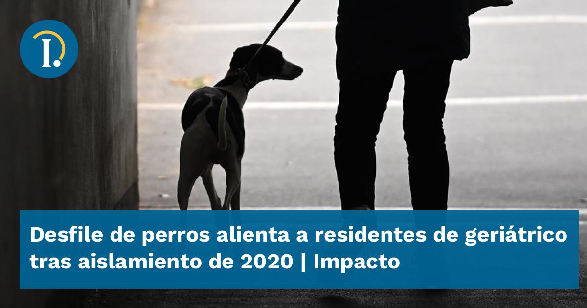 Desfile de perros alienta a residentes de geriátrico tras aislamiento ...