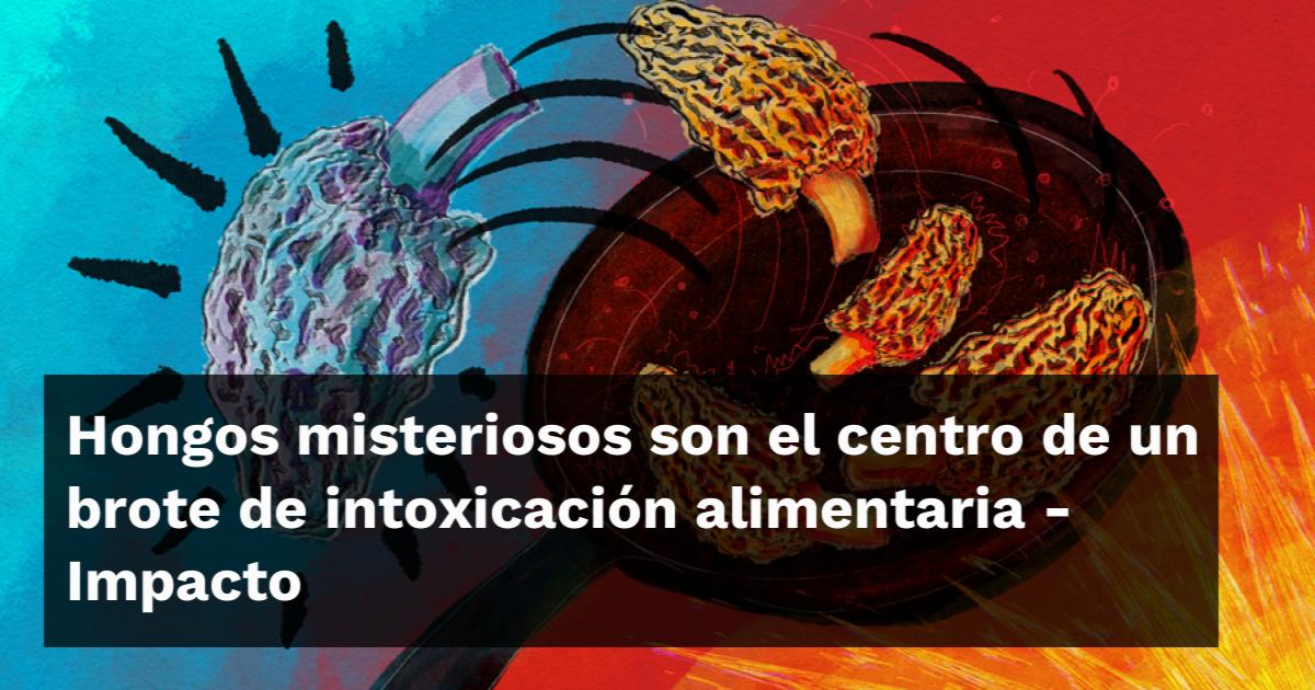 Hongos misteriosos son el centro de un brote de intoxicación ...