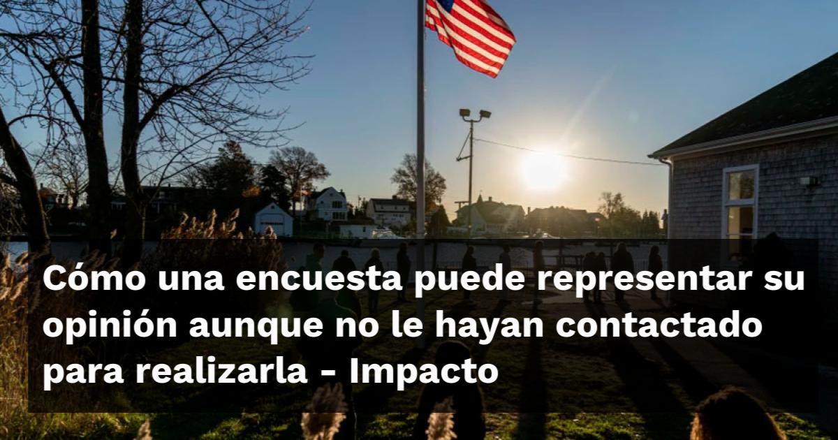 Cómo una encuesta puede representar su opinión aunque no le hayan ...