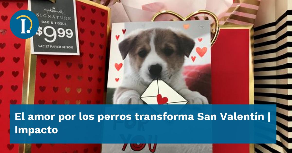 El amor por los perros transforma San Valentín - Impacto