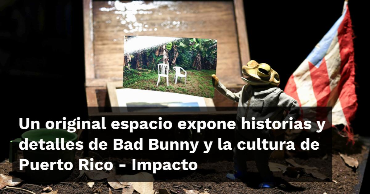 Un original espacio expone historias y detalles de Bad Bunny y la ...