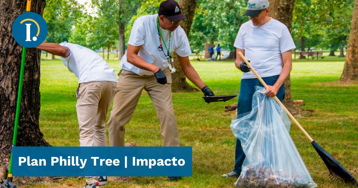Plan Philly Tree - Impacto
